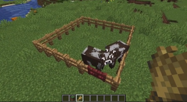 Como Fazer Uma Fazenda De Vacas No Minecraft Br Atsit